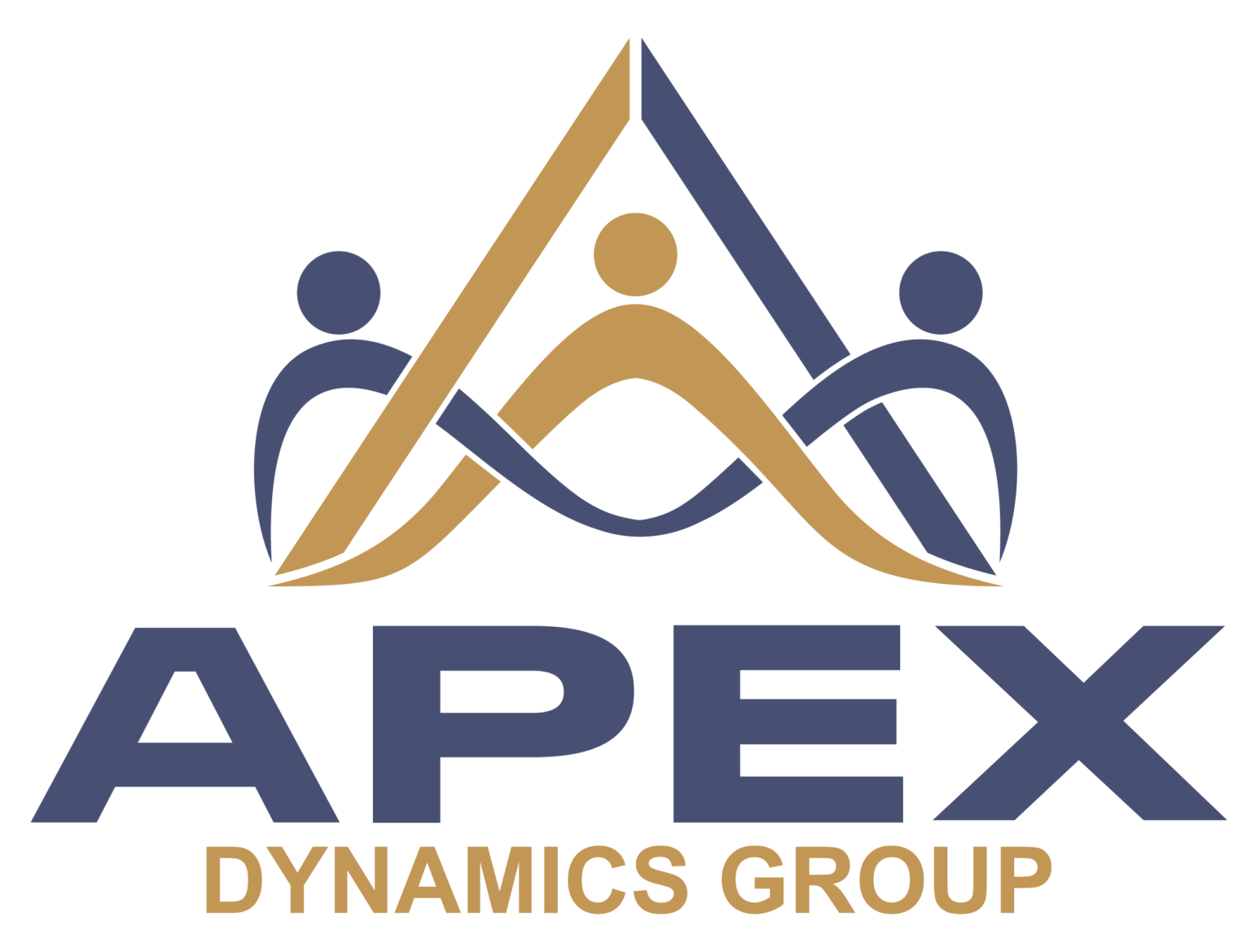Apex Dynamics Group